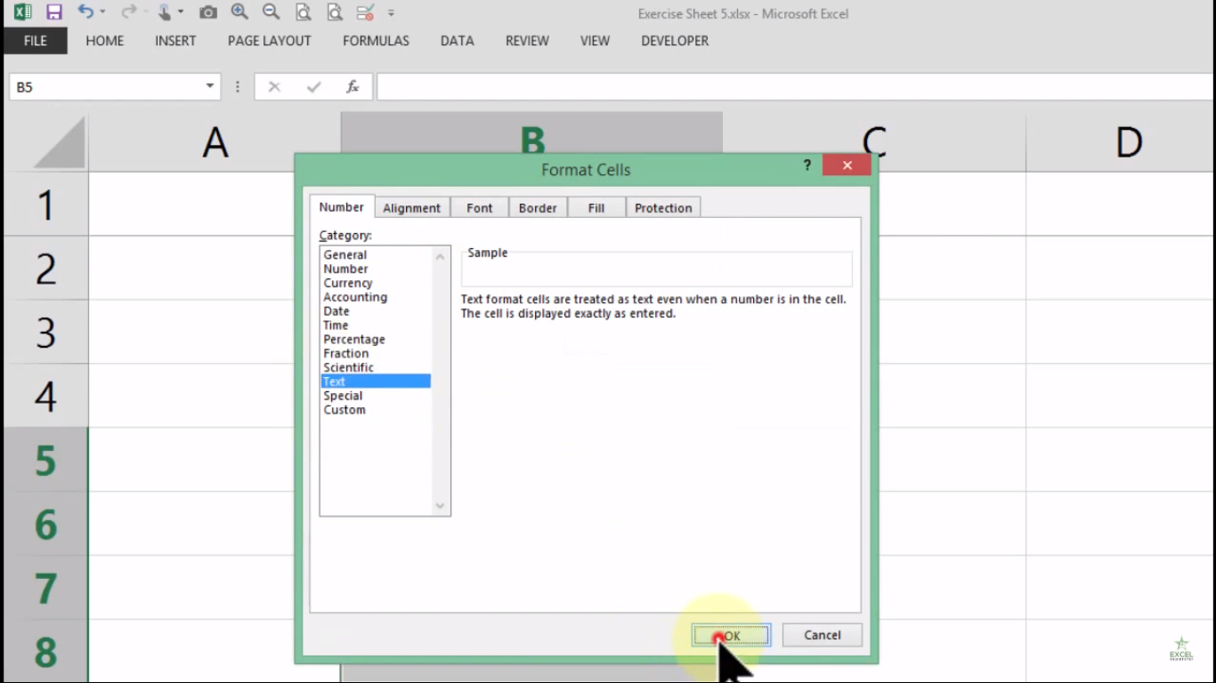  How To Store Numbers As Text In Excel Excel In Hindi